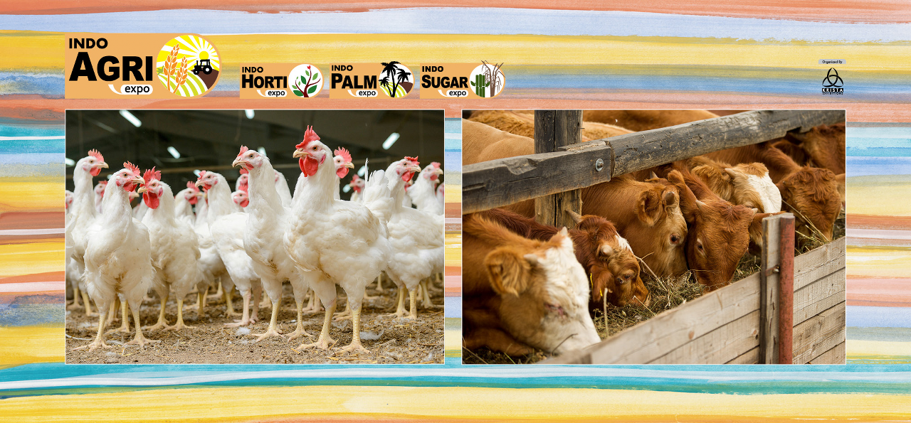 INDO AGRI EXPO | Homepage