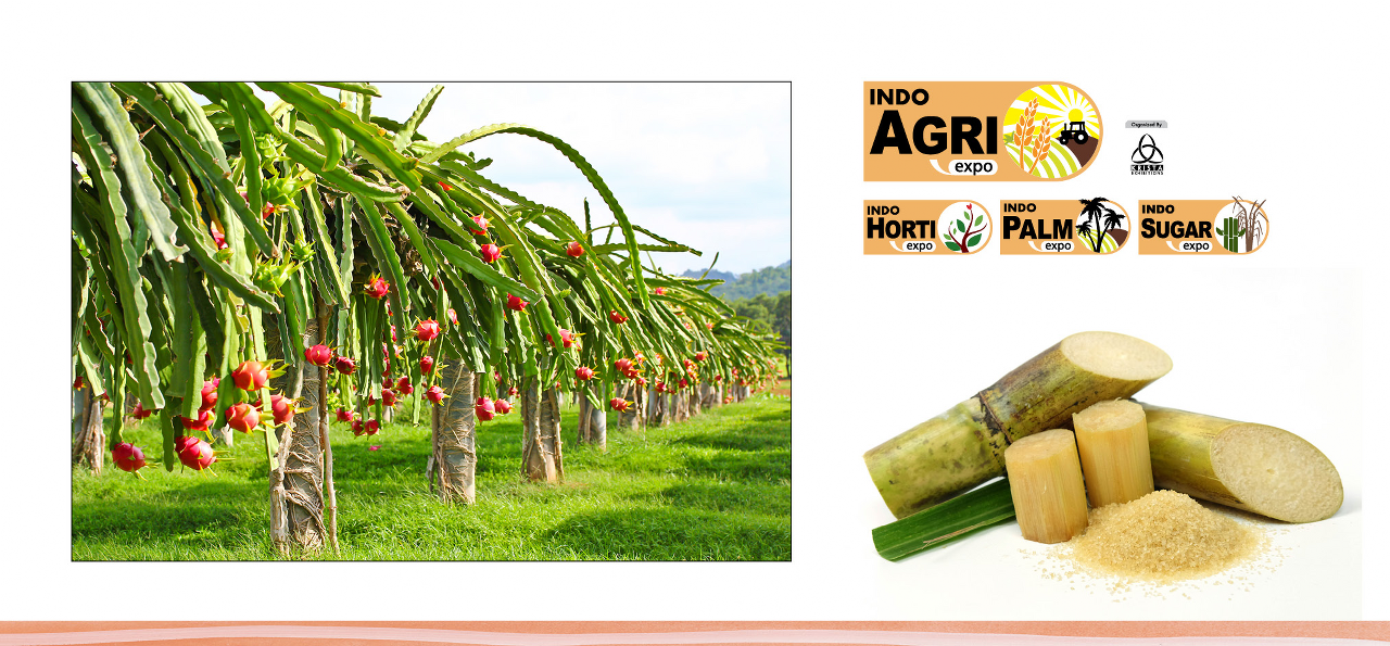 INDO AGRI EXPO | Homepage